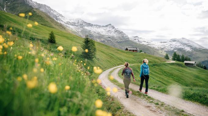 Hiking holidays in South Tyrol | Recreation in the mountains - Andreus ...